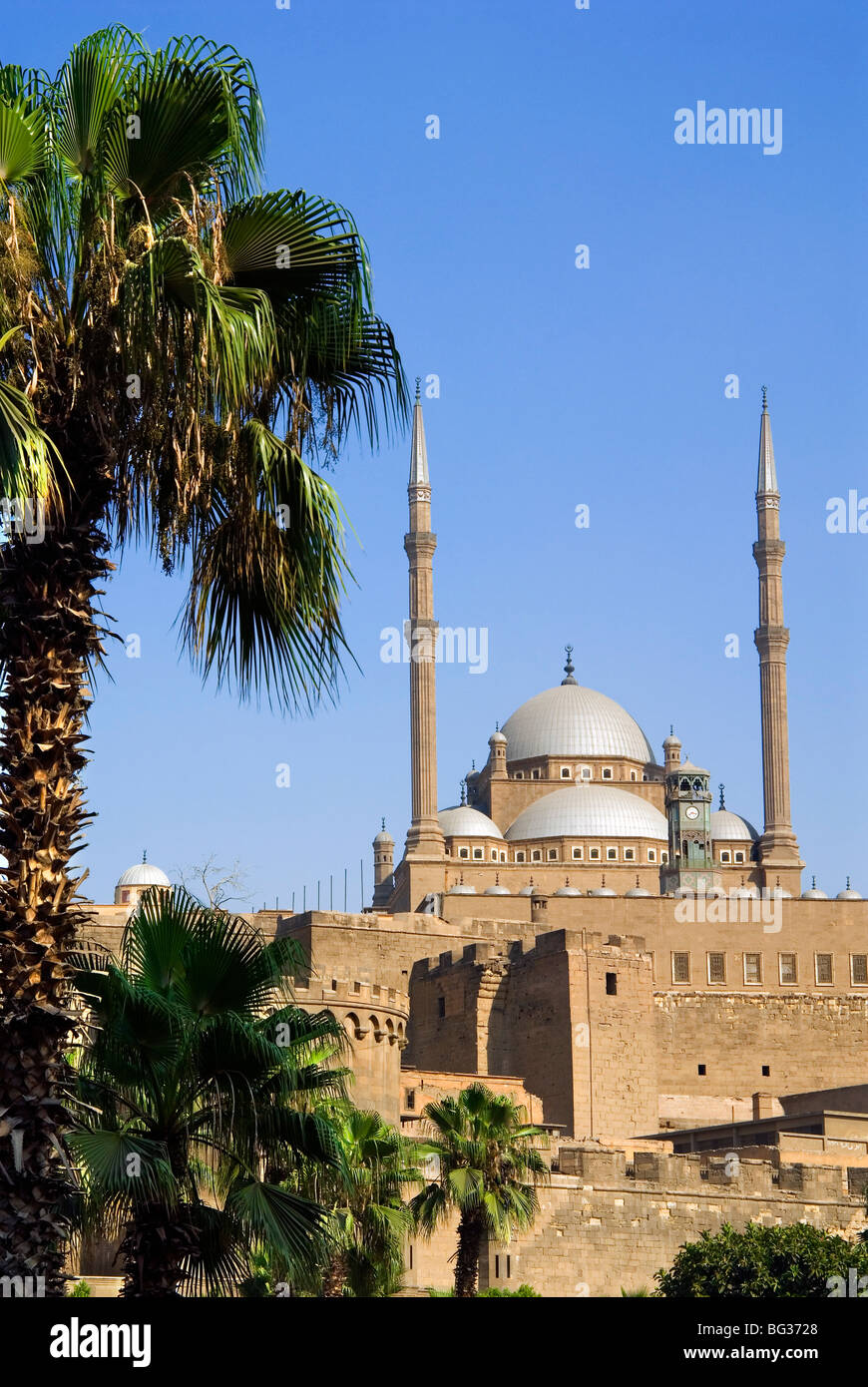 Citadel Mosque, Cairo, Egypt, North Africa, Africa Stock Photo - Alamy