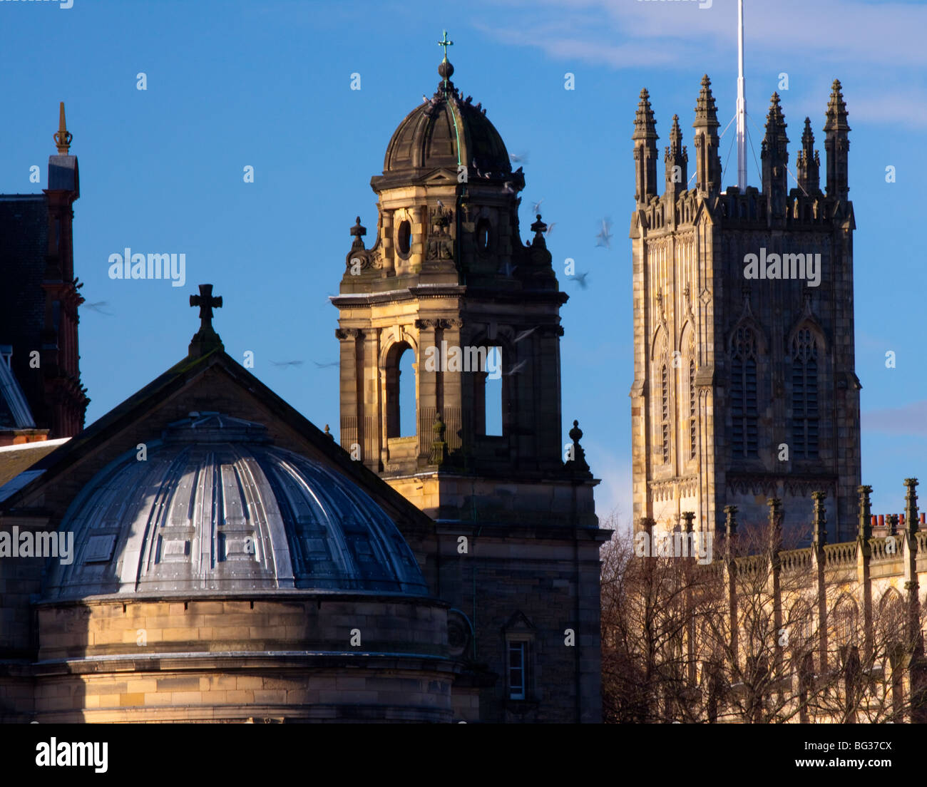 Scotland, Edinburgh City. Birds flock around Saint Cuthberts Parish ...