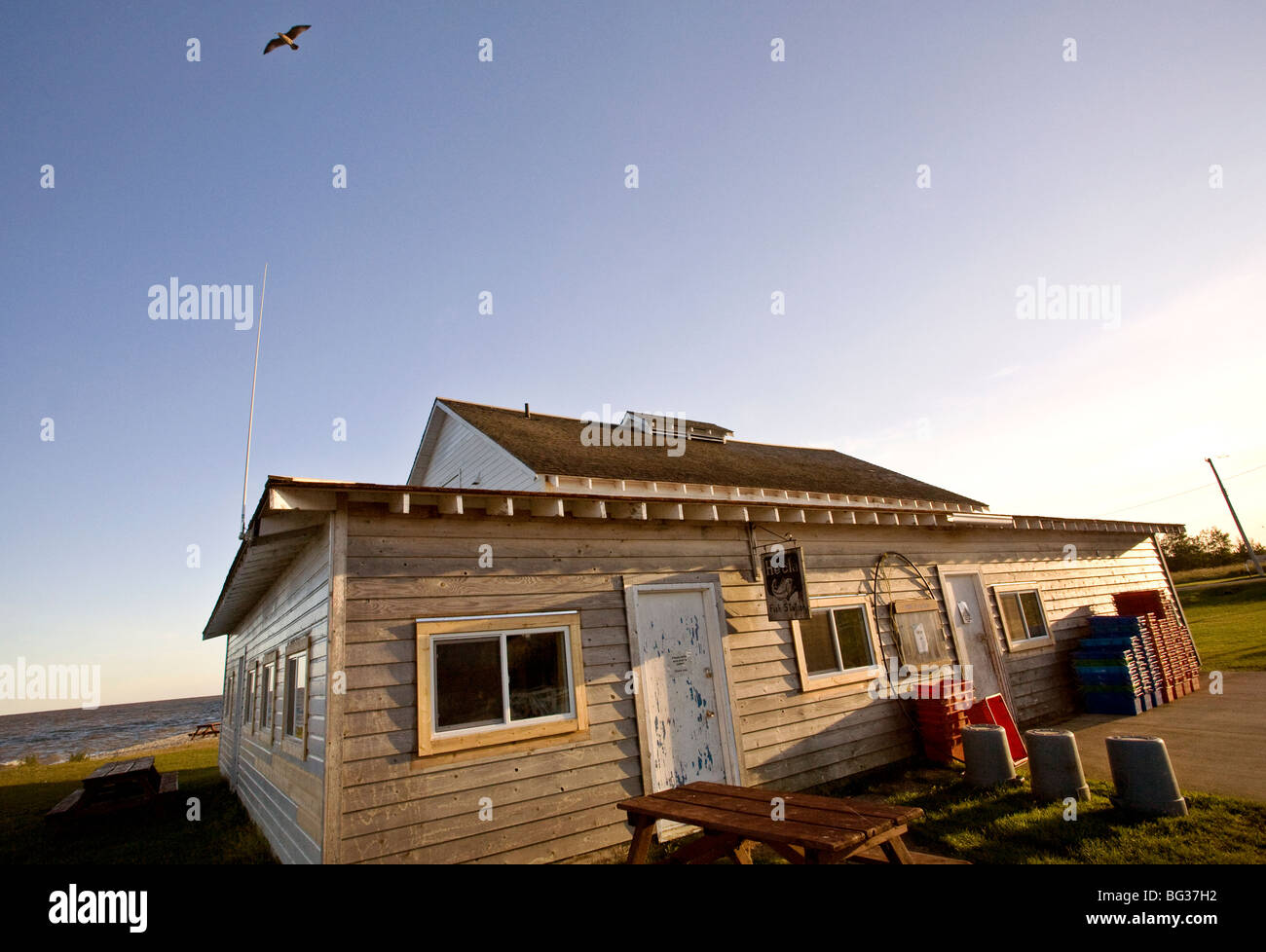 Fishing Shack Hecla Island Manitoba Lake Winnipeg Stock Photo - Alamy