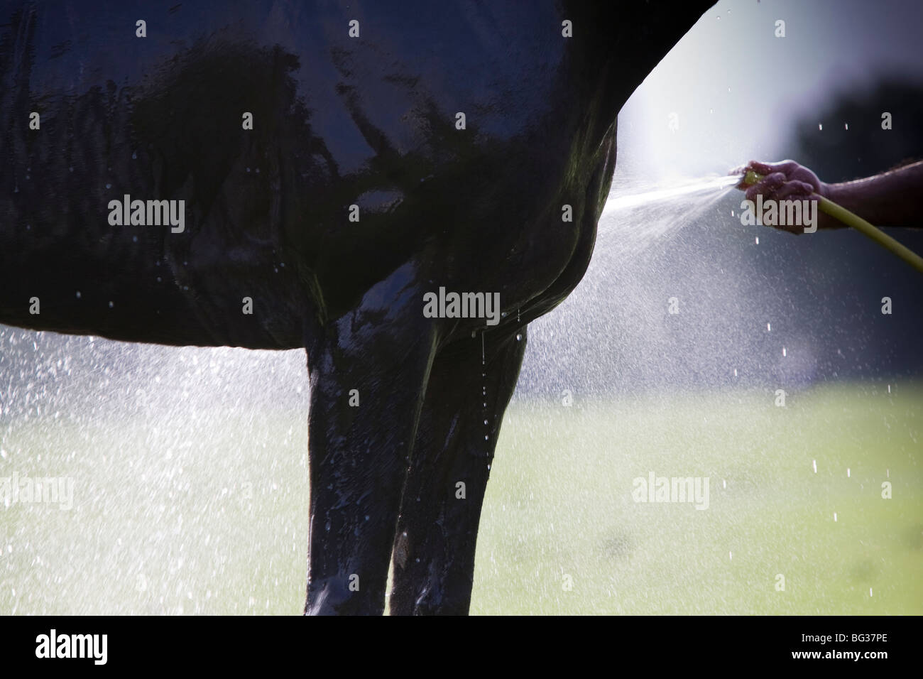 Wash legs hi-res stock photography and images - Alamy