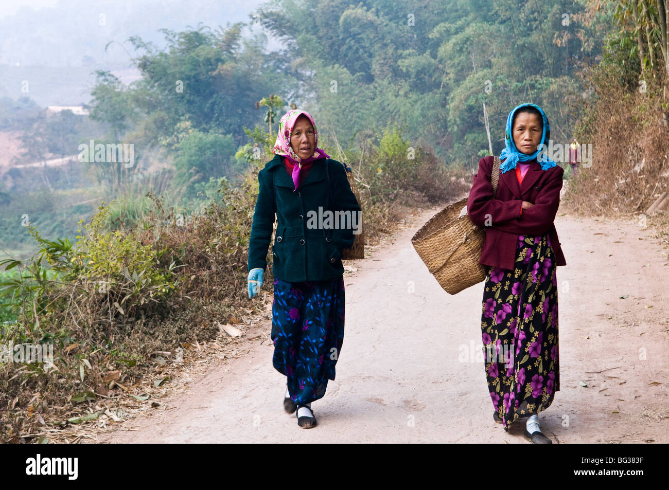 On their way home. rural scenes of south China Stock Photo - Alamy