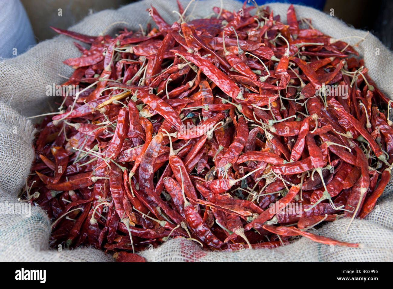 Sri lankan chillies hi-res stock photography and images - Alamy
