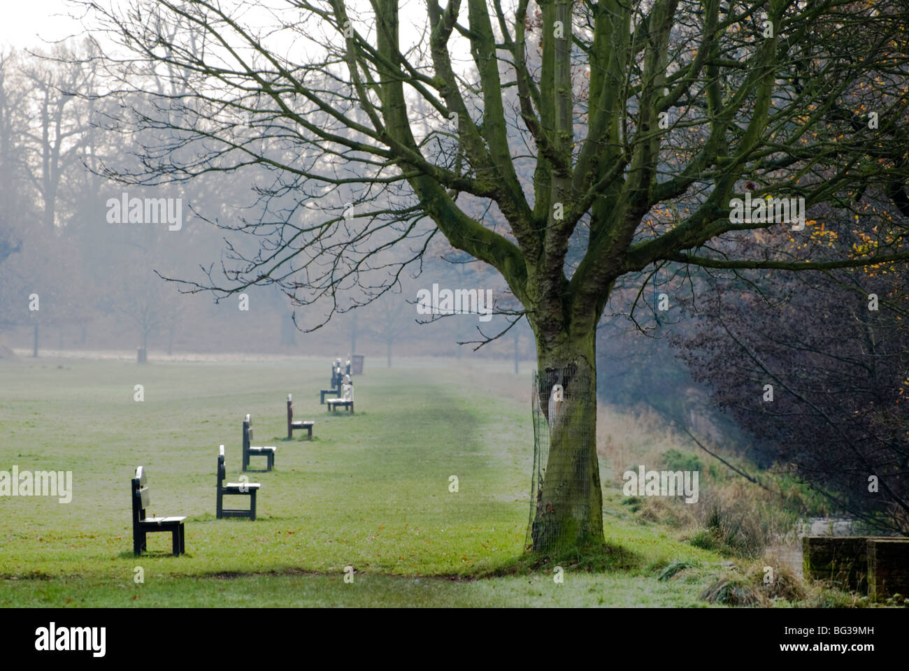 Memorial park benches set in the grounds of Wollaton Park, Nottingham ...