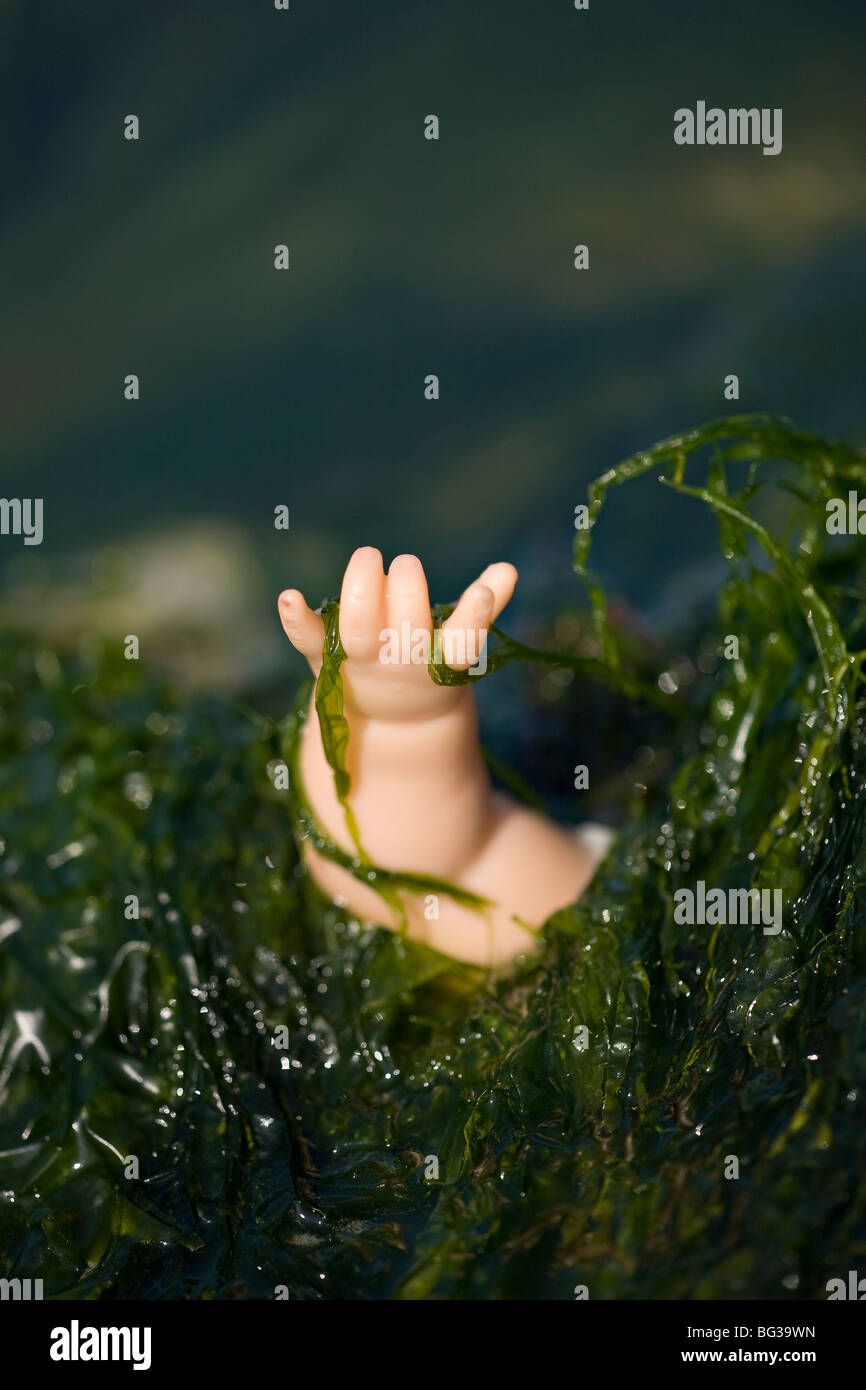 Doll's arm breaking through seaweed Stock Photo - Alamy