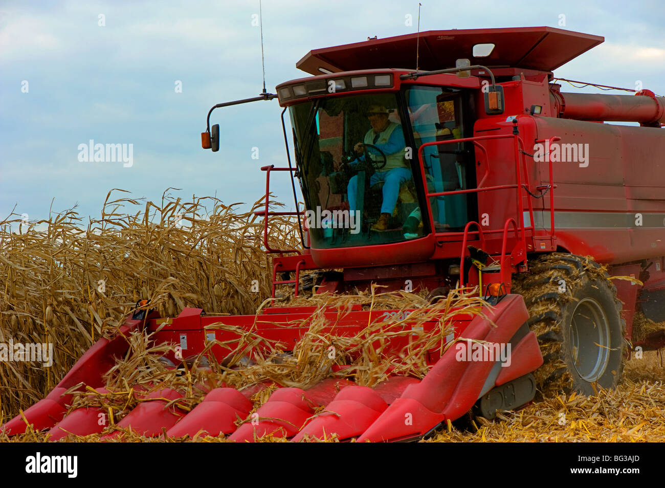 The harvest season for field corn in Indiana is a rush to get the grain ...