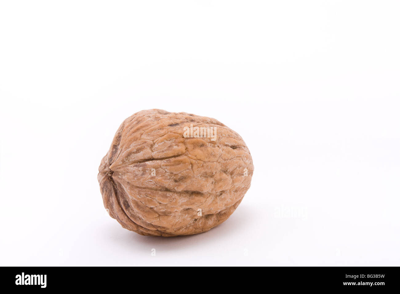 Single whole walnut isolated against white background Stock Photo - Alamy