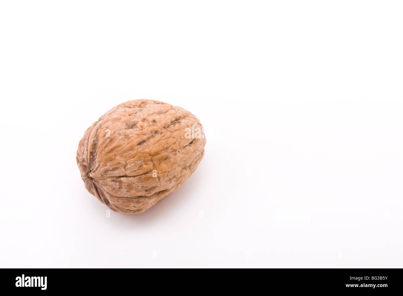 Single whole walnut isolated against white background Stock Photo - Alamy