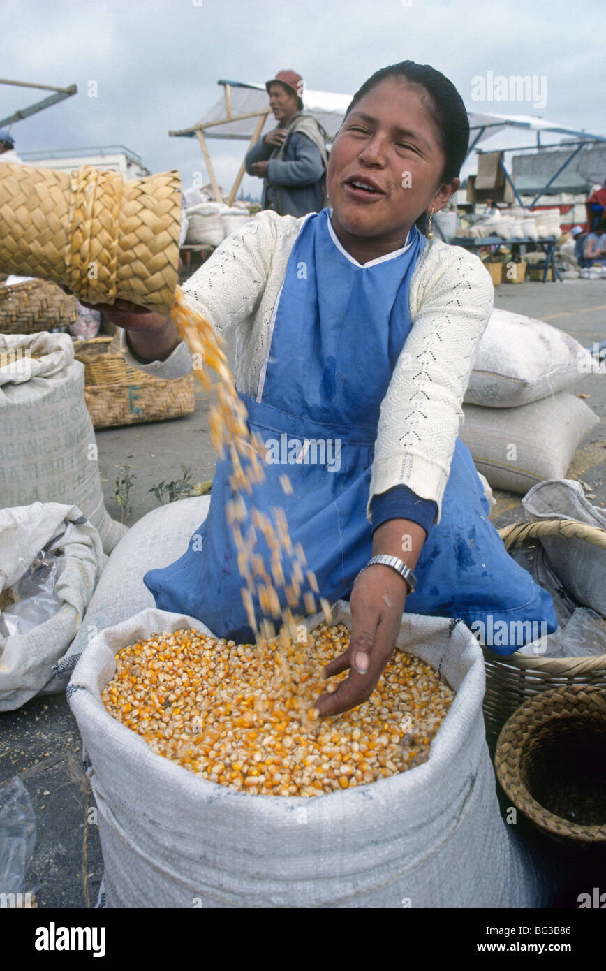Qechua Indian women selling Ecuadorian corn in the large outdoor market ...