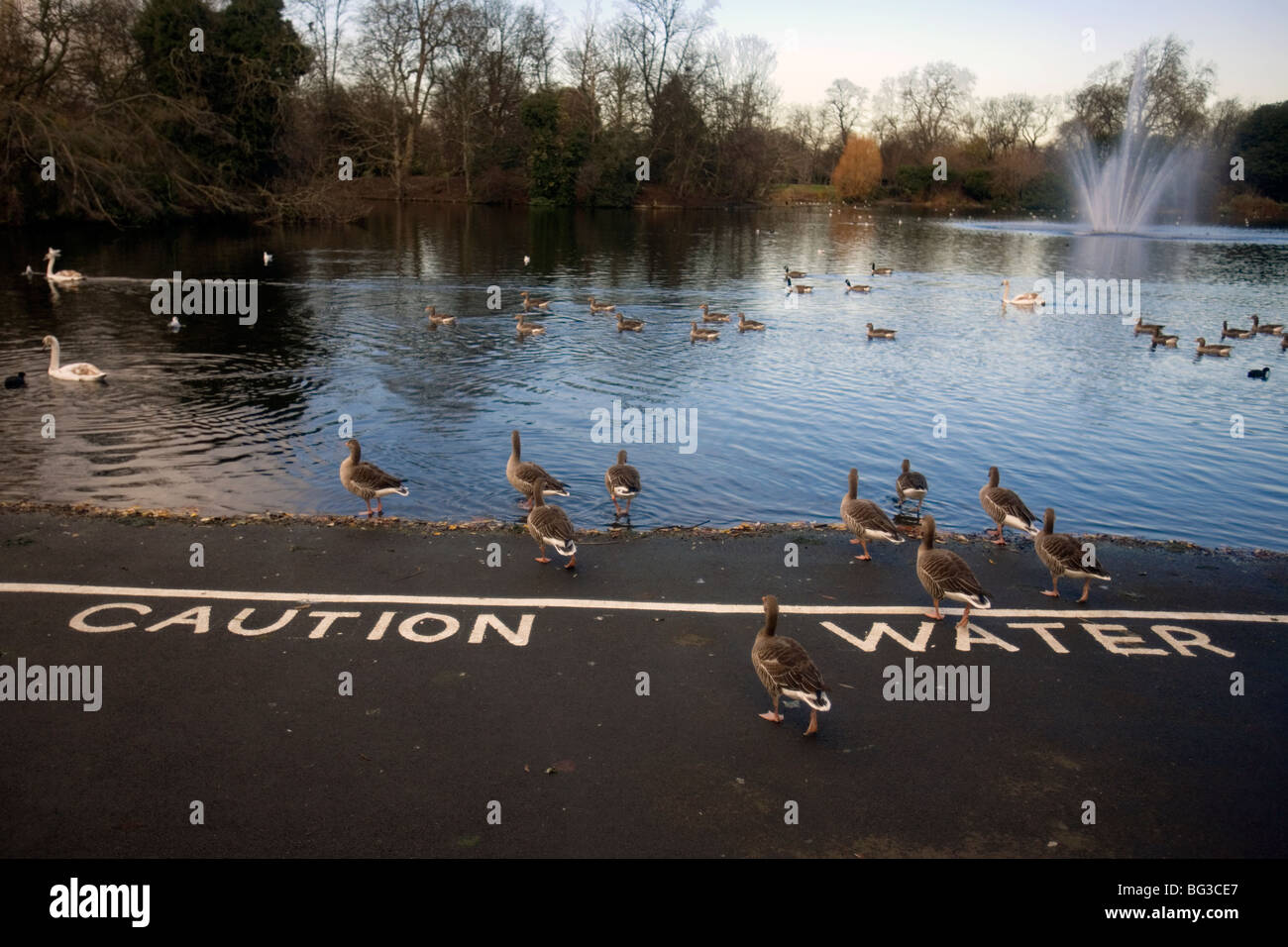 Victoria park london fountain hi-res stock photography and images - Alamy