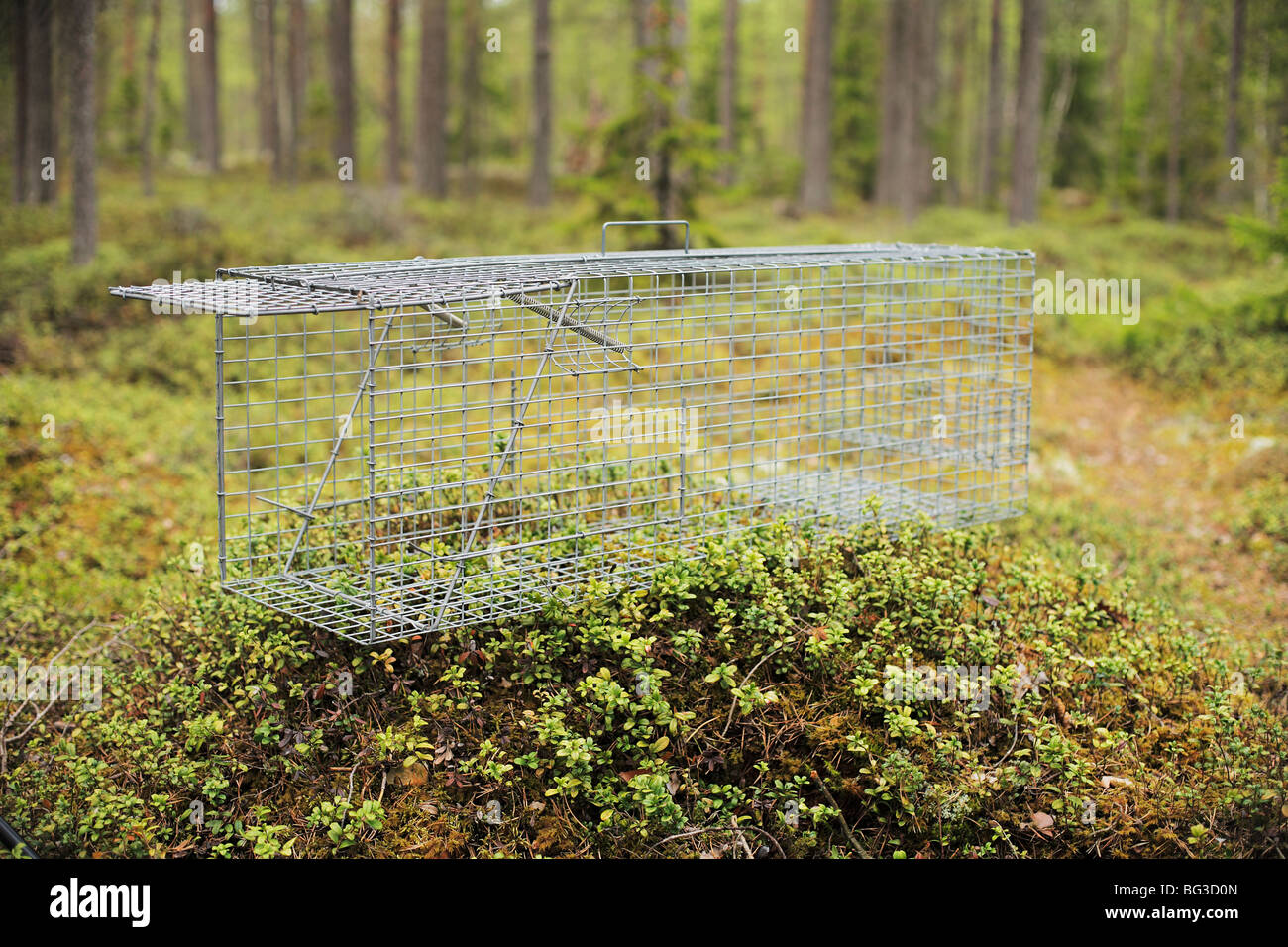 Dog trap hi-res stock photography and images - Alamy