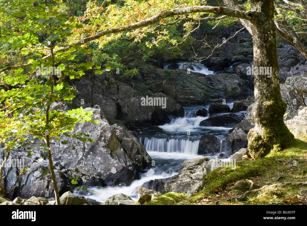 Snowdonia autumn colour hi-res stock photography and images - Alamy