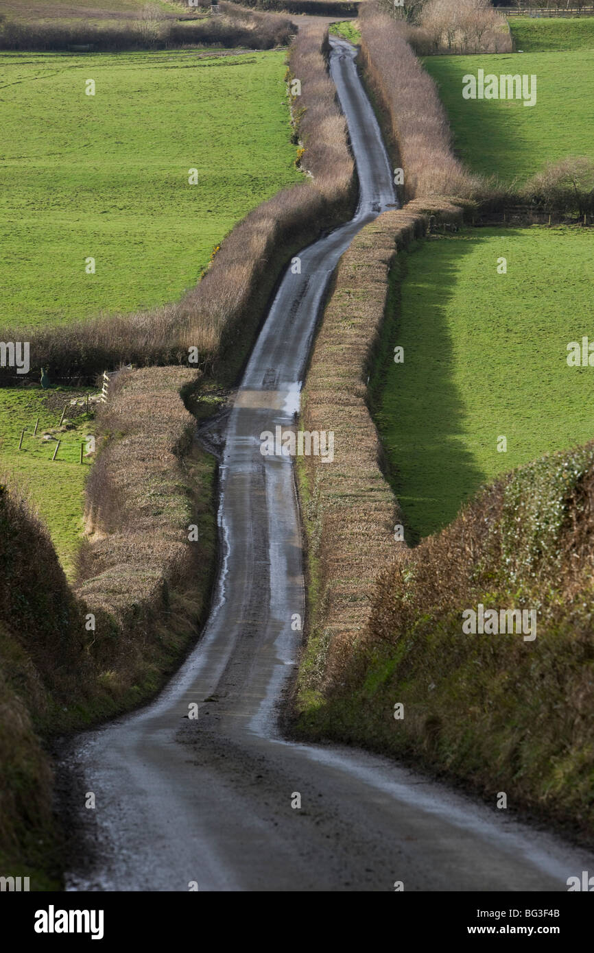 Road with hedges hi-res stock photography and images - Alamy