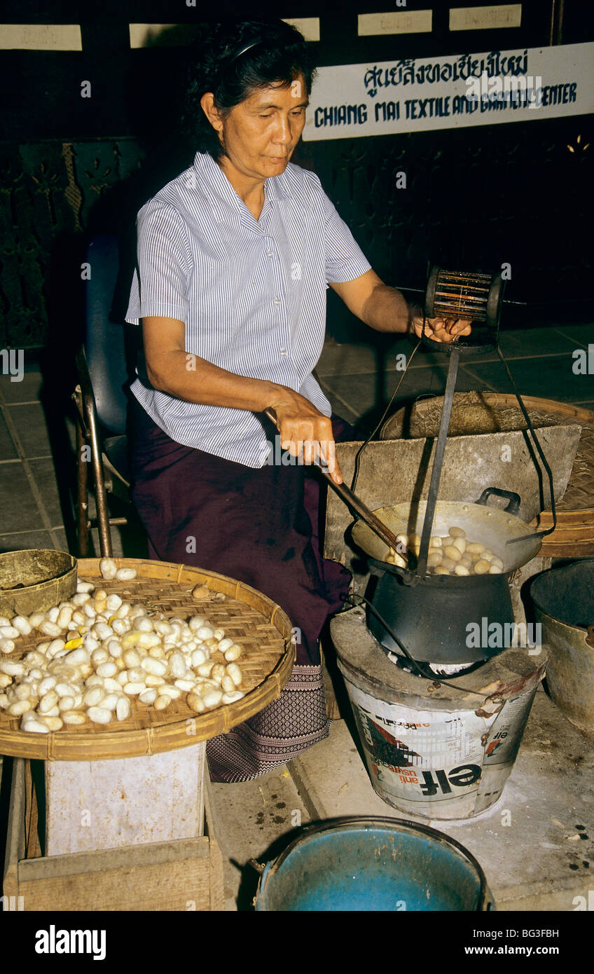 Rearing of silkworms hi-res stock photography and images - Alamy