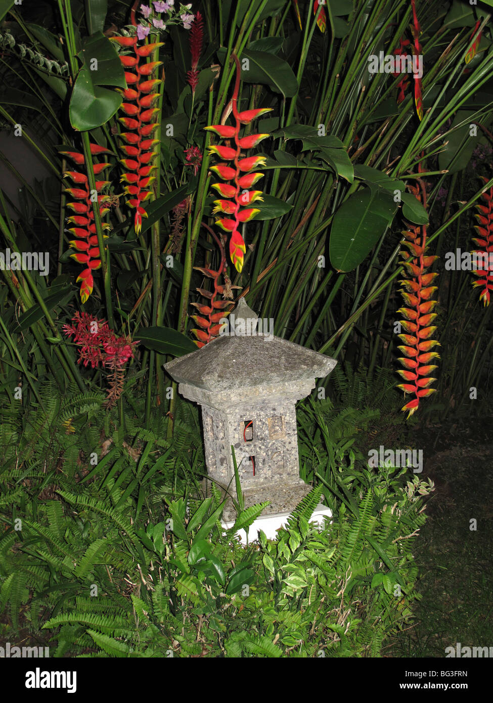 Balisier hi-res stock photography and images - Alamy