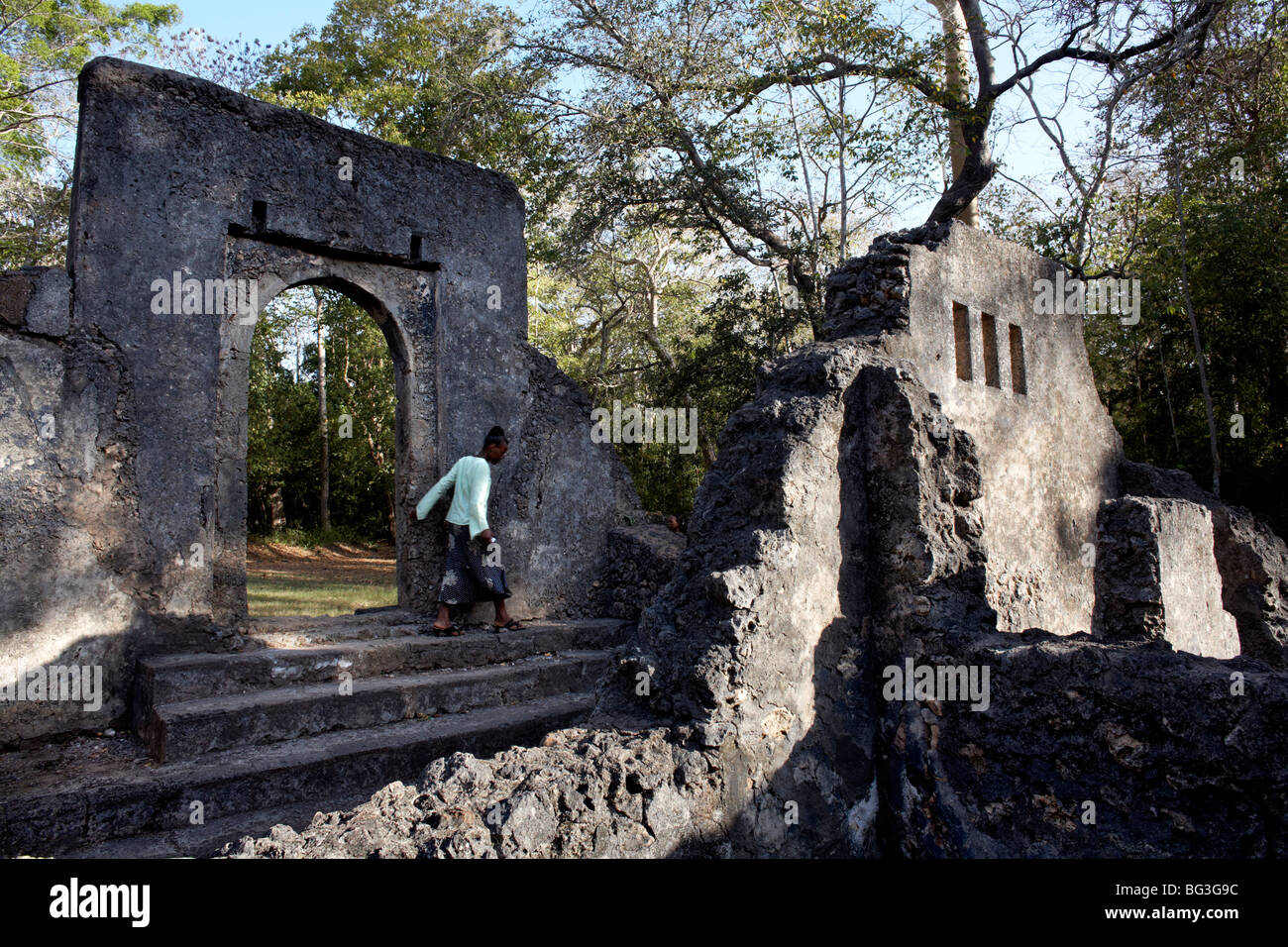 Gedi ruins, Malindi, Kenya, East Africa, Africa Stock Photo - Alamy
