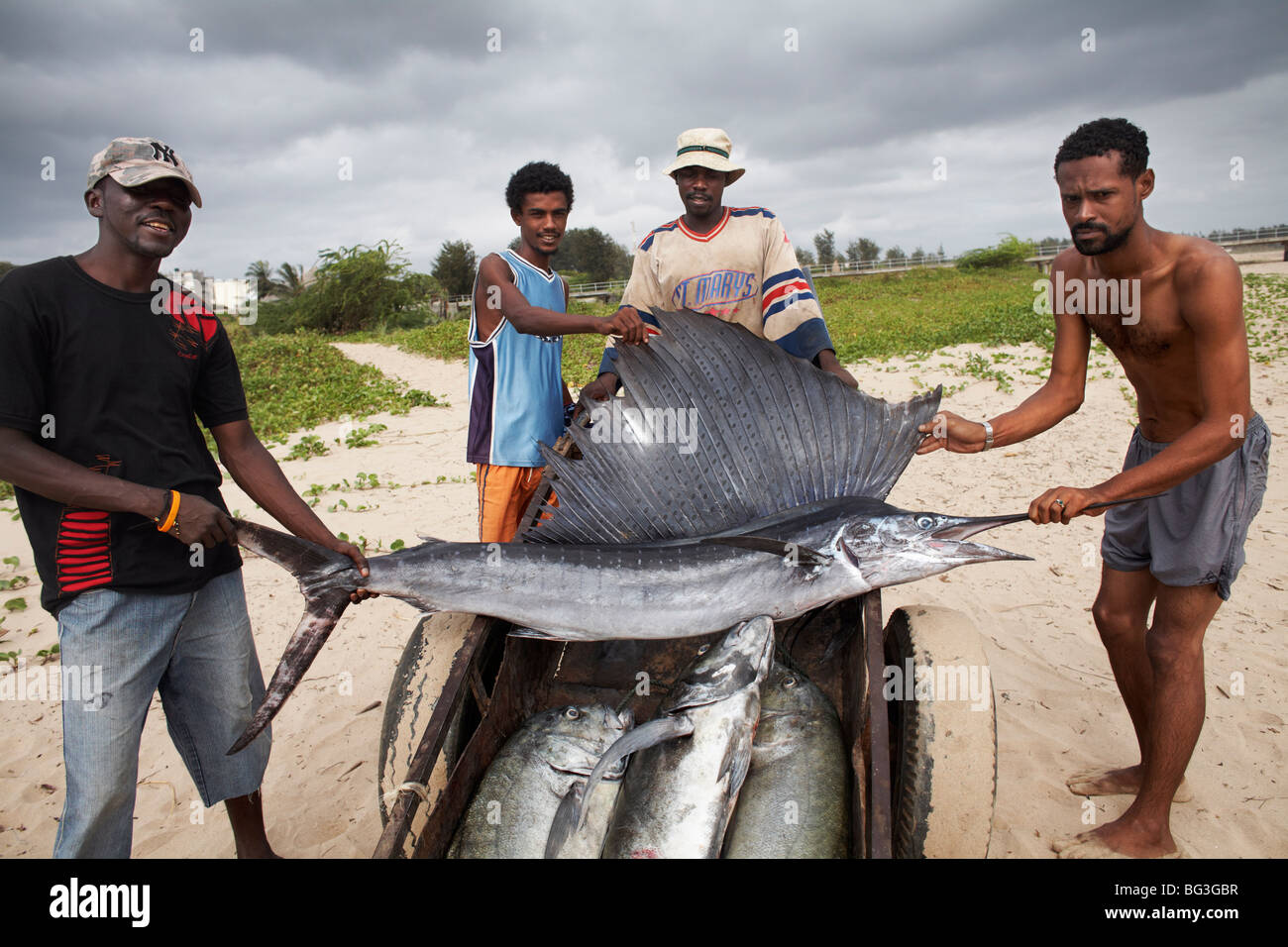 Fishermen with their catch, Malindi, Kenya, East Africa, Africa Stock ...