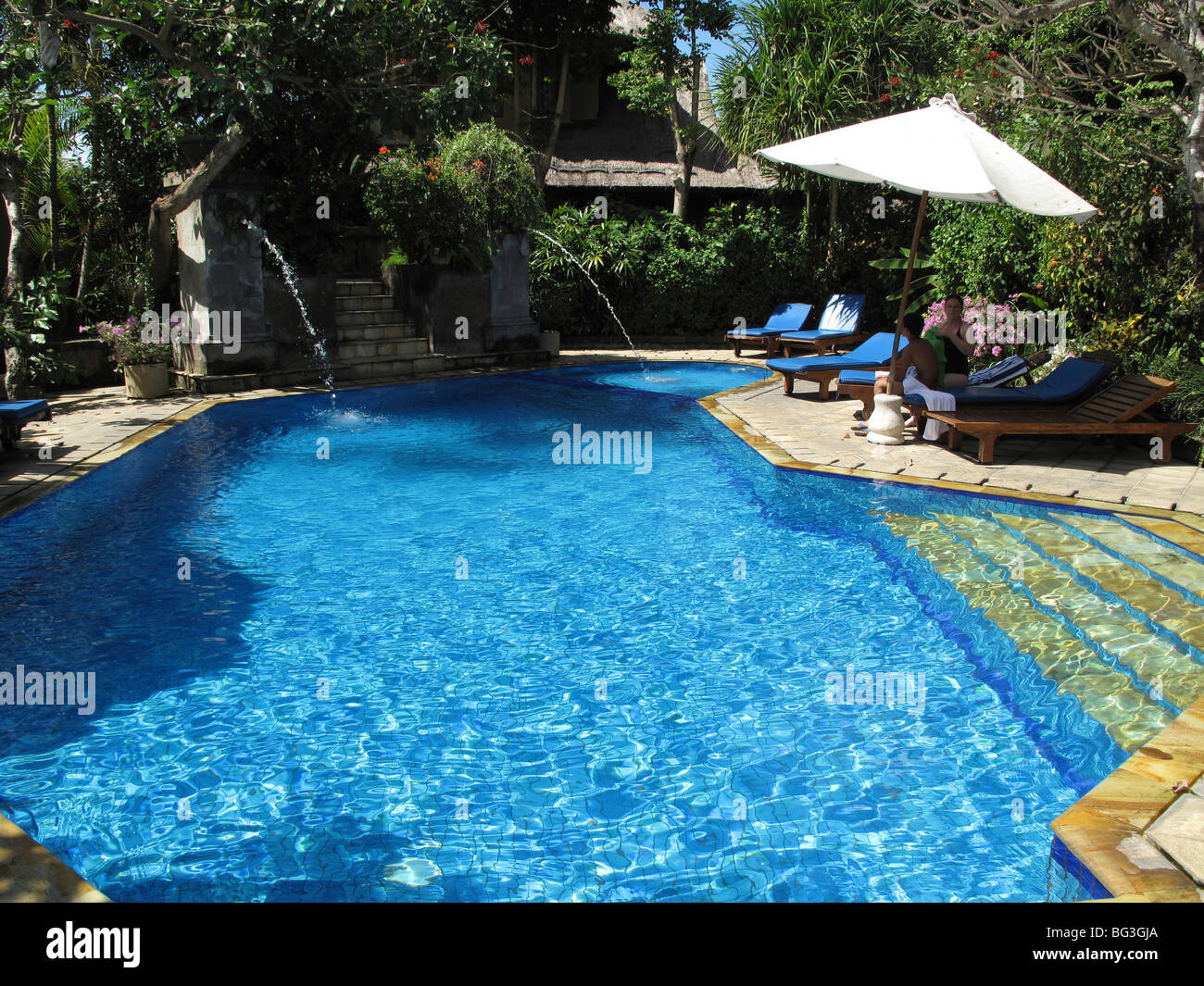 Indonesian bonsai hi-res stock photography and images - Alamy