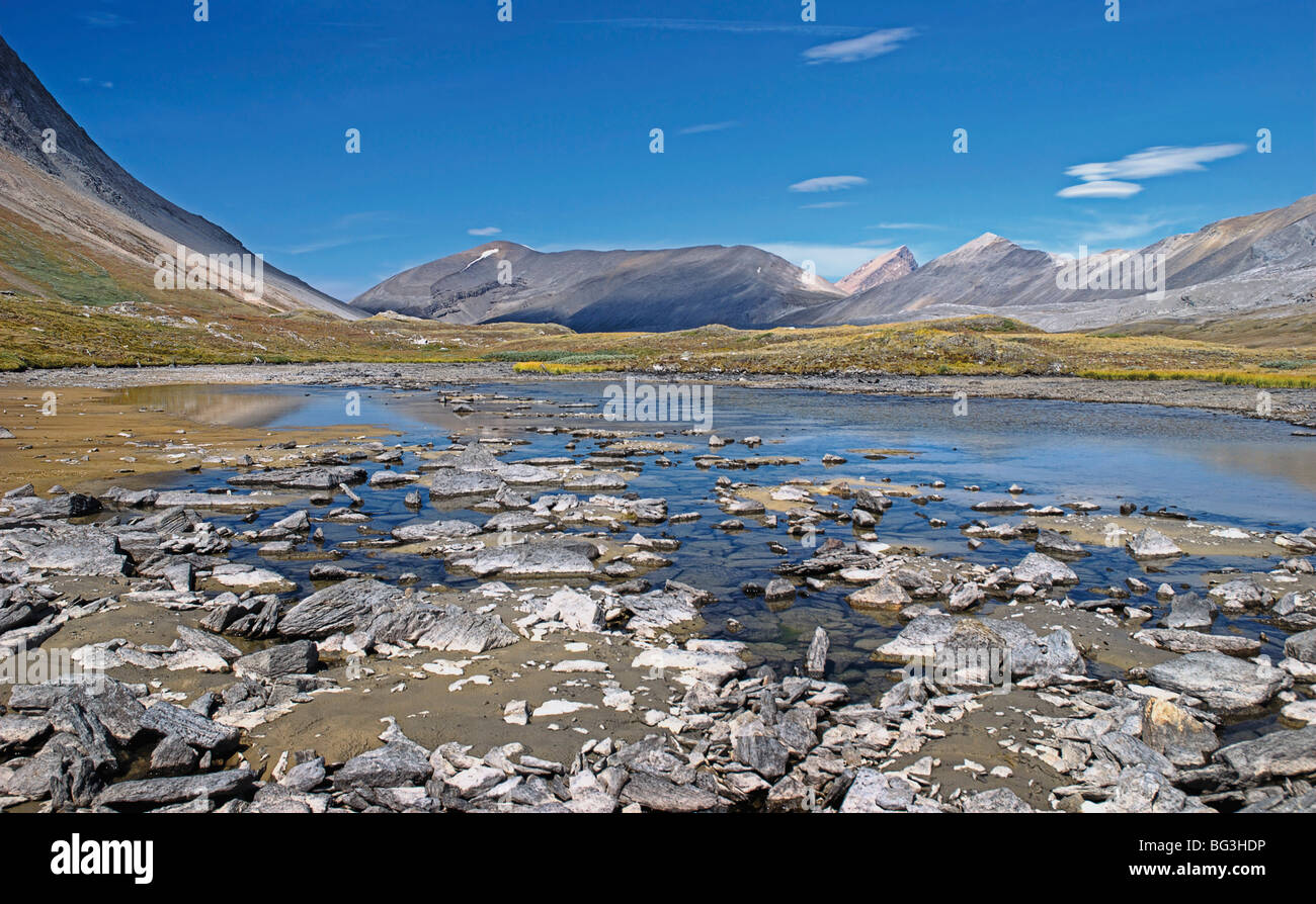 Wilcox Pass in Jasper National Park, Canada Stock Photo - Alamy