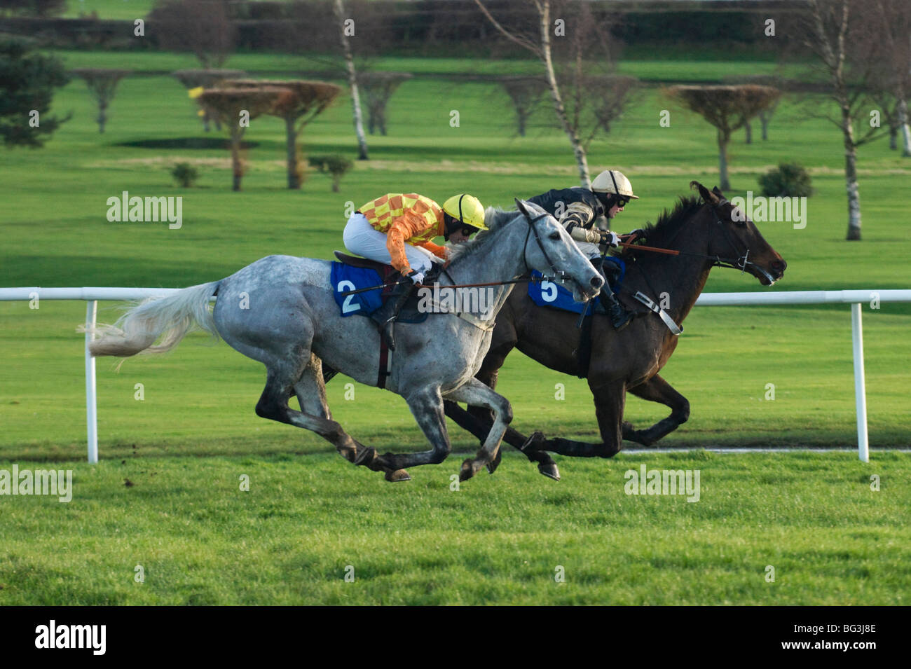 National hunt racing hi-res stock photography and images - Alamy