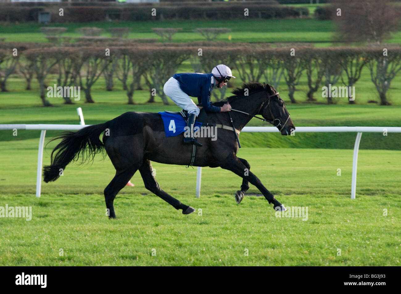 National hunt racing hi-res stock photography and images - Alamy