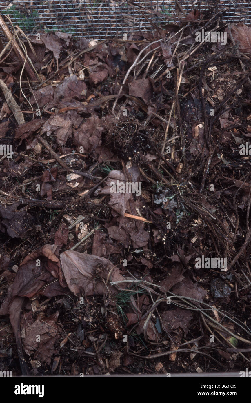 Making Compost, Stage 2 of 3, second in a series of decomposition step ...