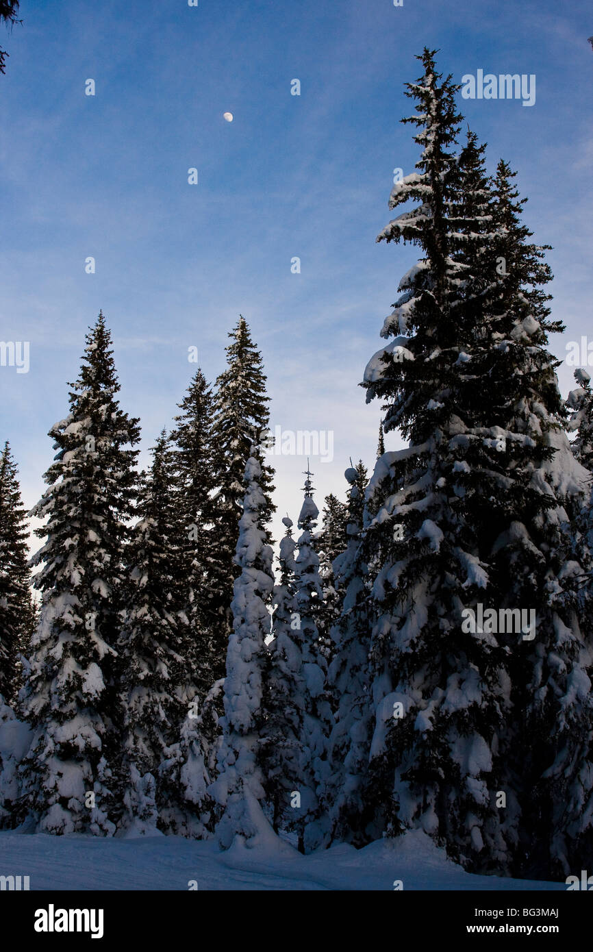 Freezing moon hi-res stock photography and images - Alamy
