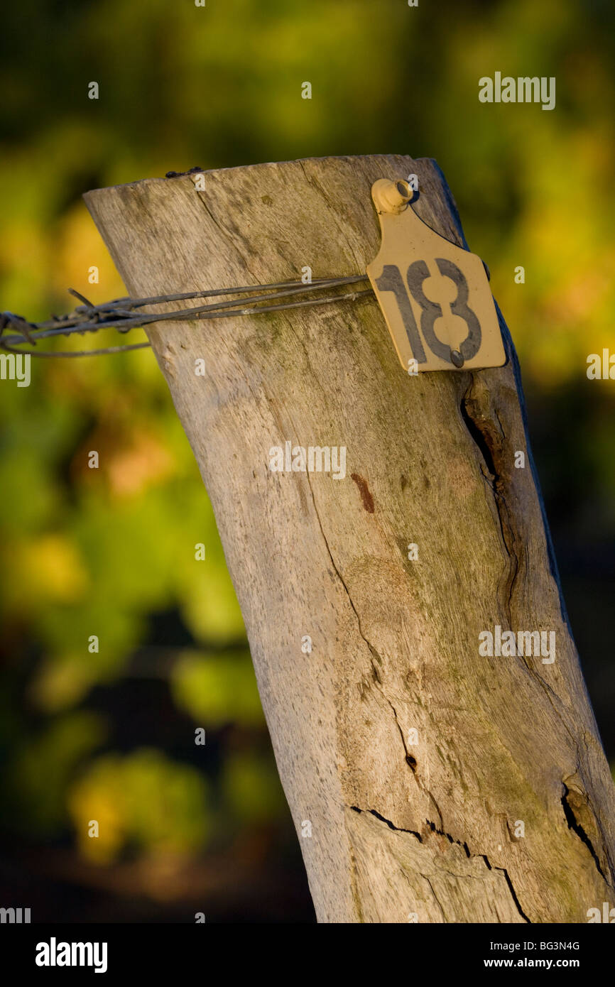 Main post at the start of a vine row Stock Photo - Alamy
