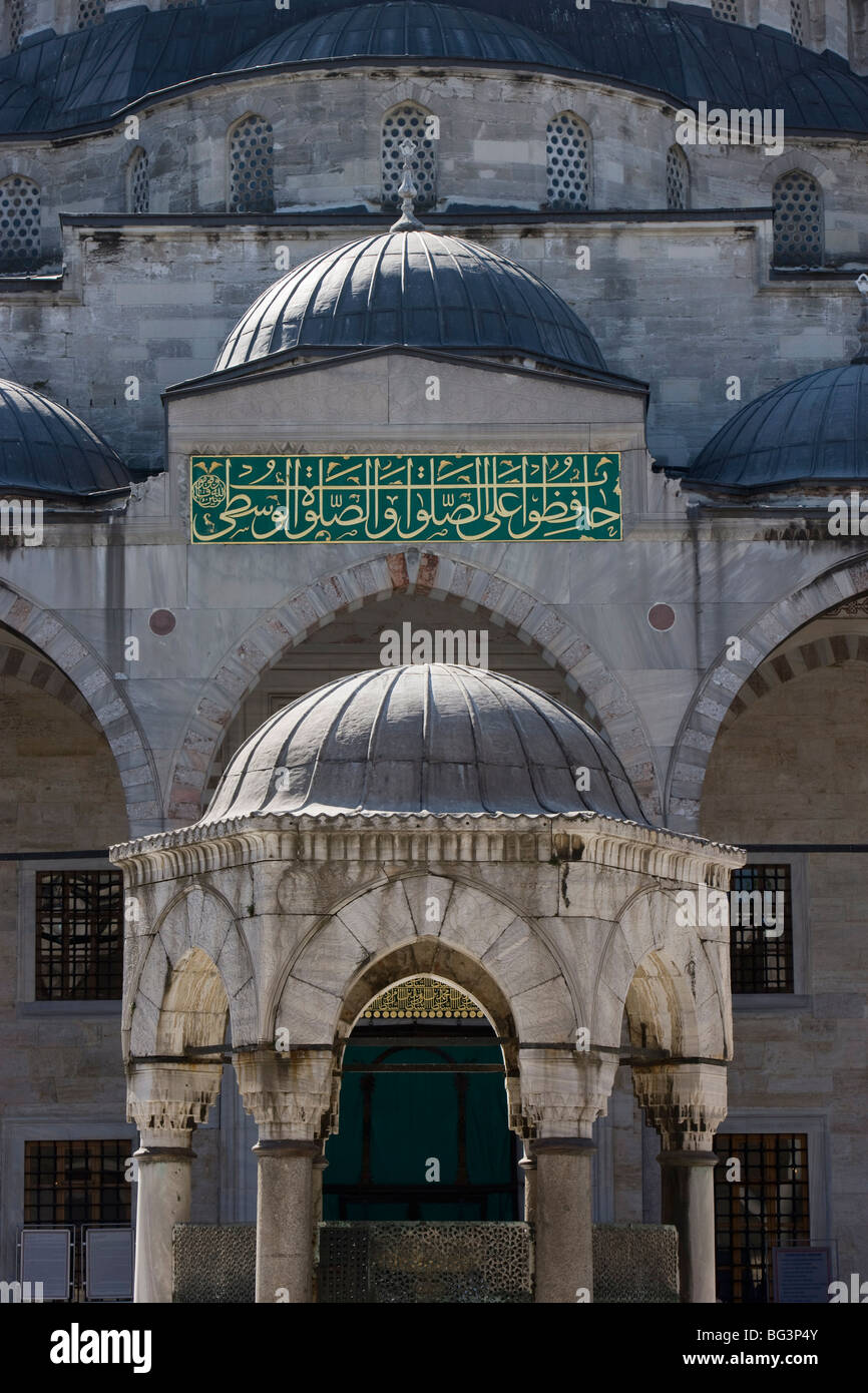 Detail of domes in courtyard, Blue Mosque, Istanbul, Turkey, Europe ...