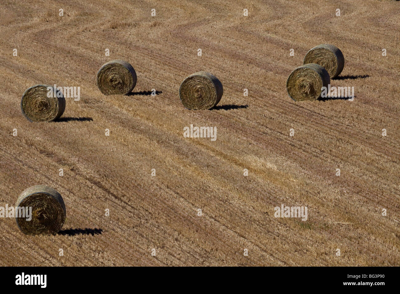 Barley bales hi-res stock photography and images - Alamy