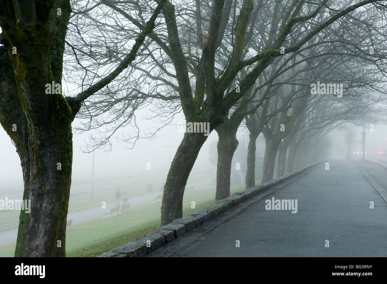 Moisture heavy cloud hi-res stock photography and images - Alamy
