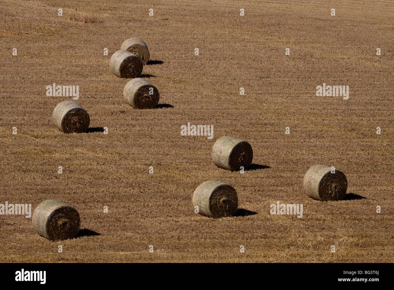 Barley bales hi-res stock photography and images - Alamy