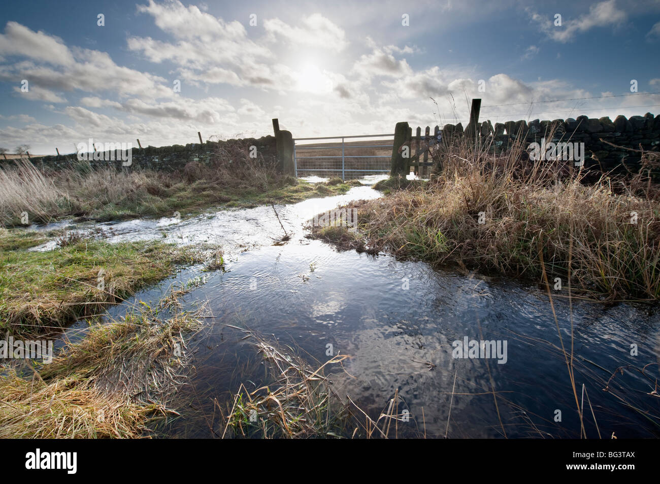 Roadside verge flooding under a gated field Stock Photo - Alamy