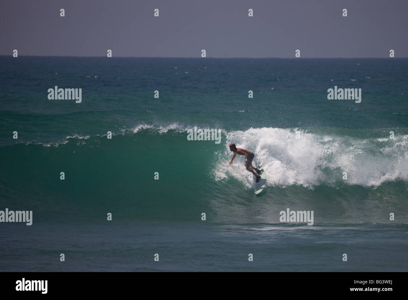 Surfing in Hikkaduwa, Sri Lanka Stock Photo - Alamy