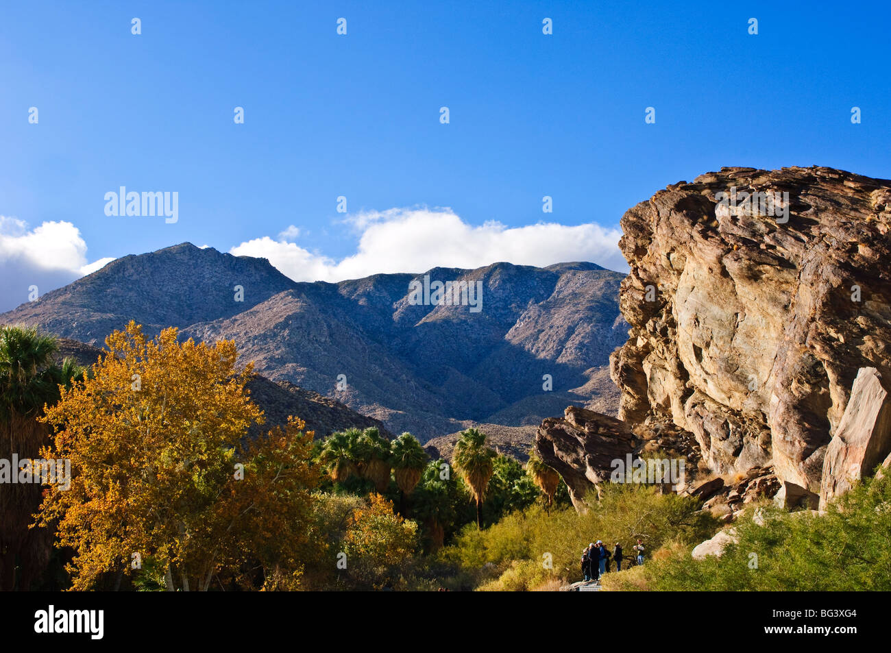Andreas Canyon, Palm Springs, California, United States of America ...