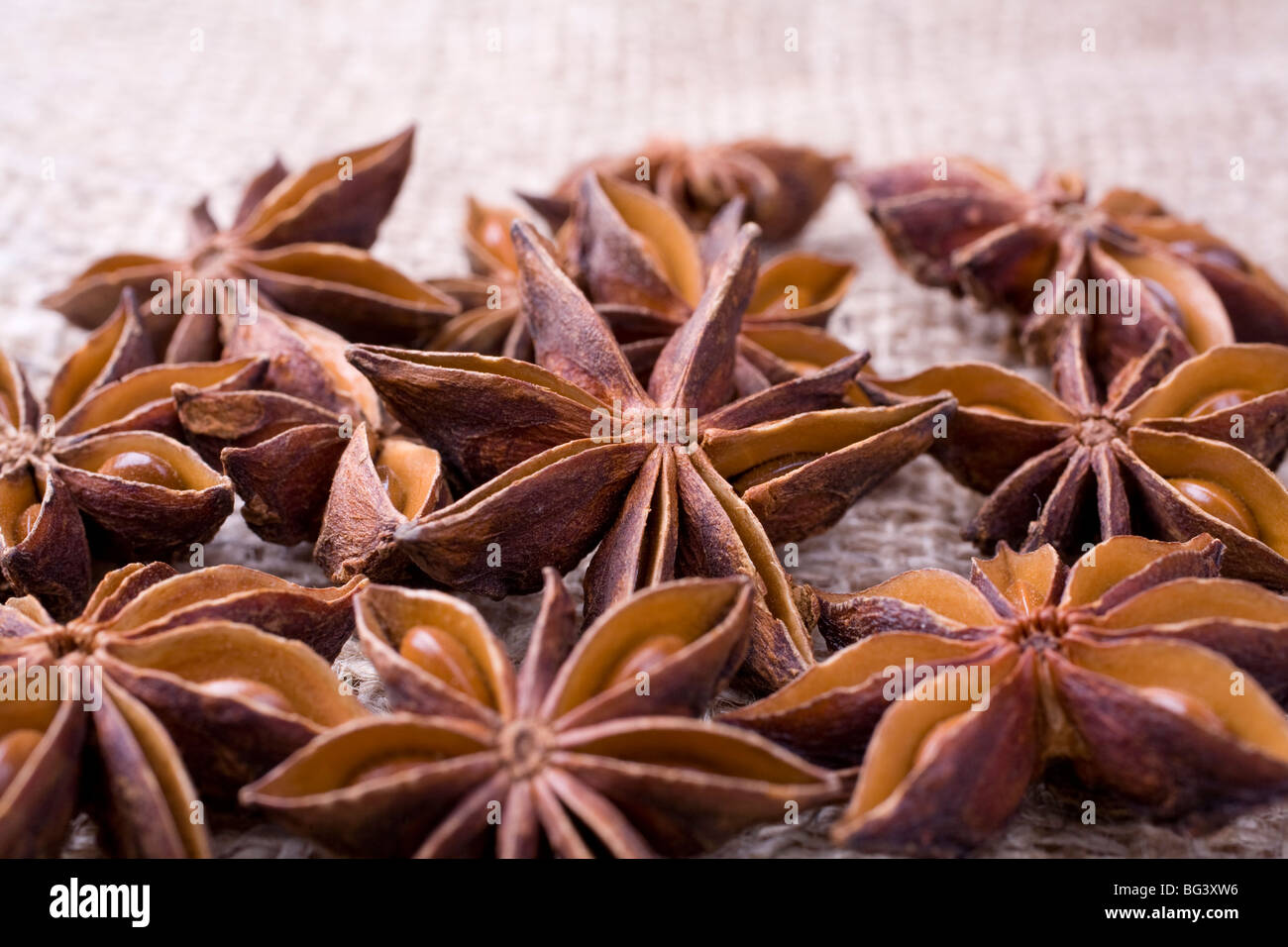 Star shape with seeds hi-res stock photography and images - Alamy