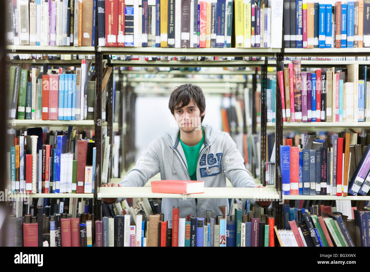 University student studying in library Stock Photo - Alamy