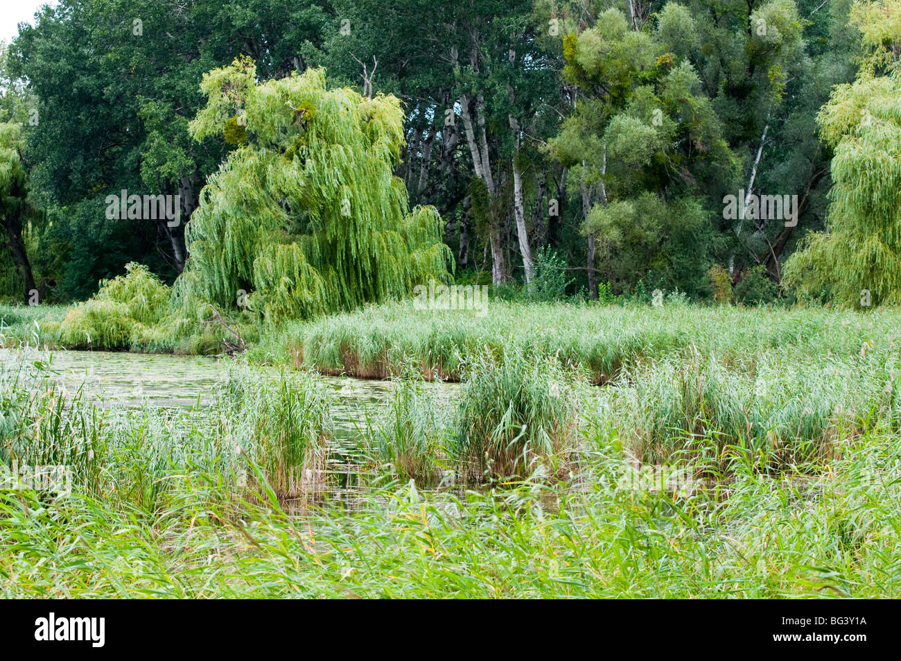 Vienna donau park hi-res stock photography and images - Alamy