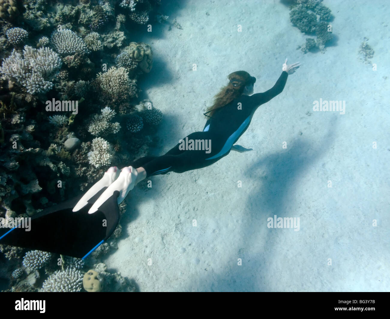 Freediving in egypt hi-res stock photography and images - Alamy