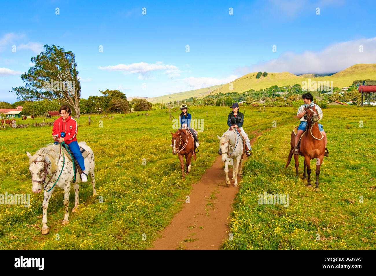 Horseback riding at Parker Ranch, The Big Island, Hawaiian Islands ...
