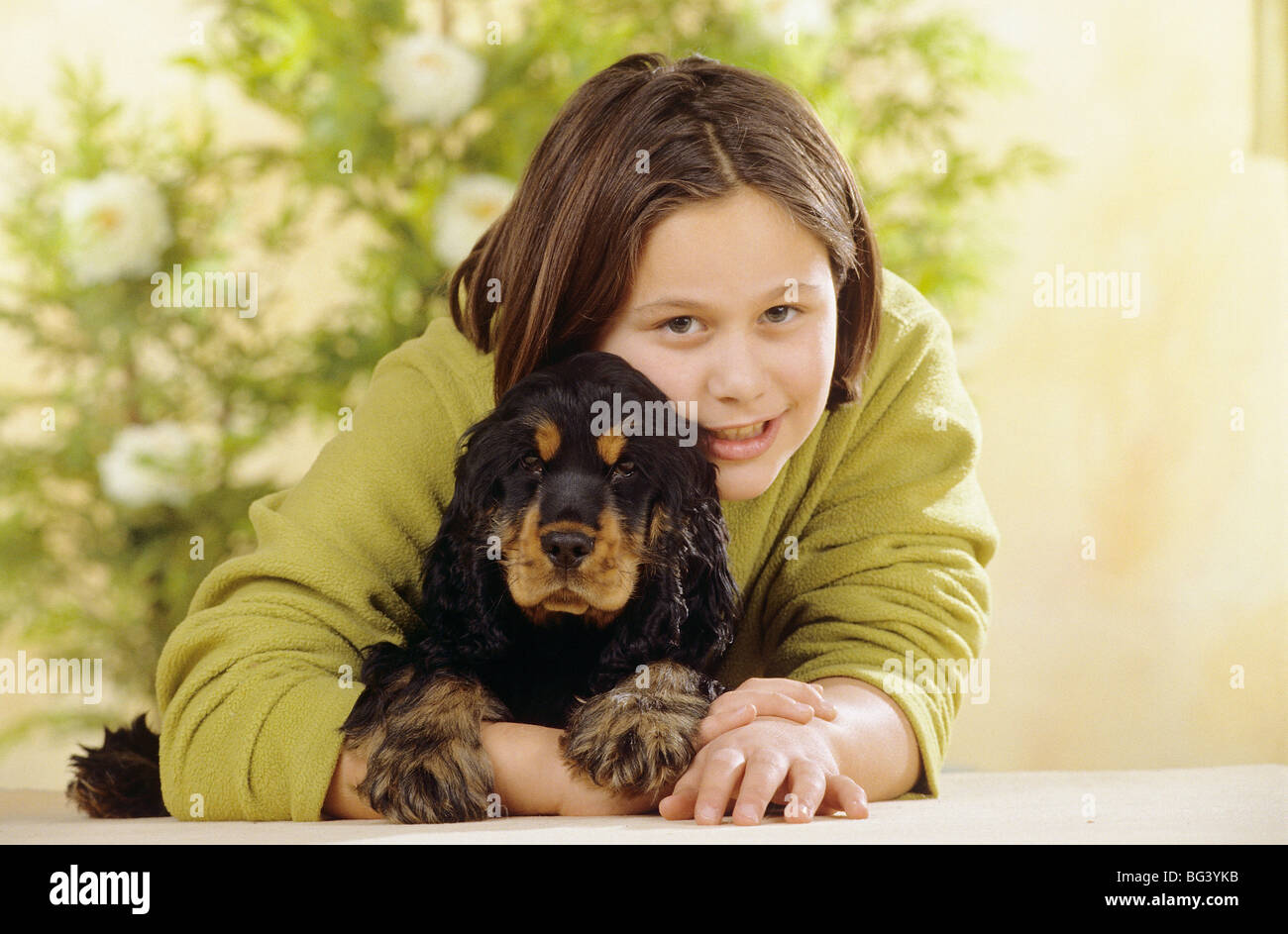 girl with young Cocker Spaniel dog Stock Photo - Alamy