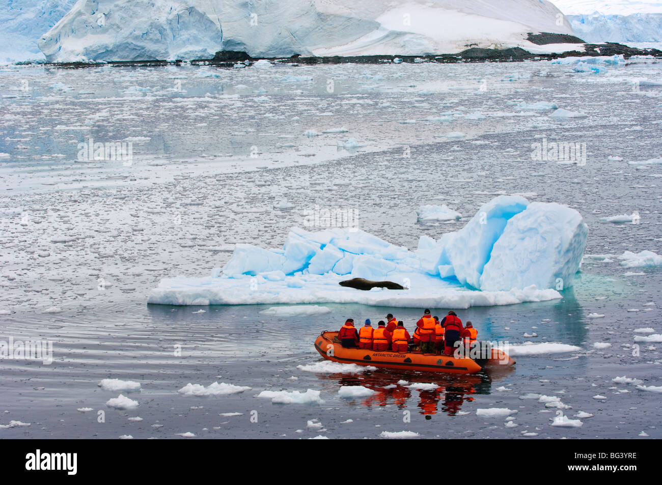 Exploring Paradise Bay, Antarctica, Polar Regions Stock Photo - Alamy