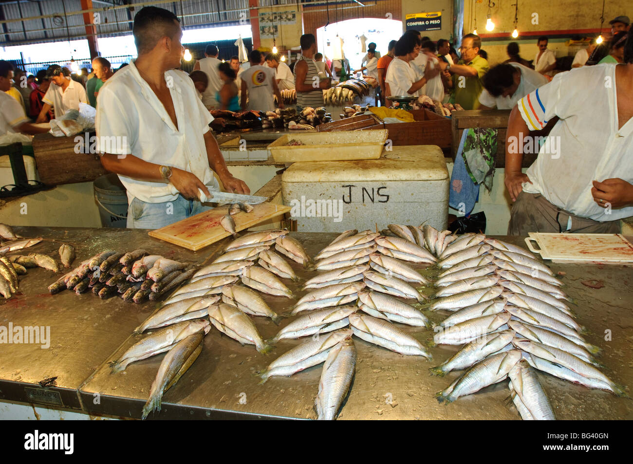 Fish debone hi-res stock photography and images - Alamy
