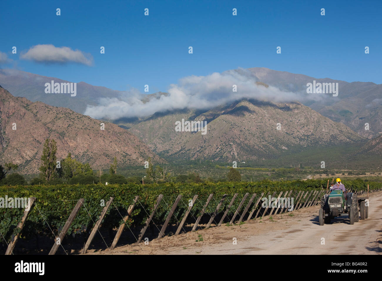 Calchaquíes vineyard hi-res stock photography and images - Alamy