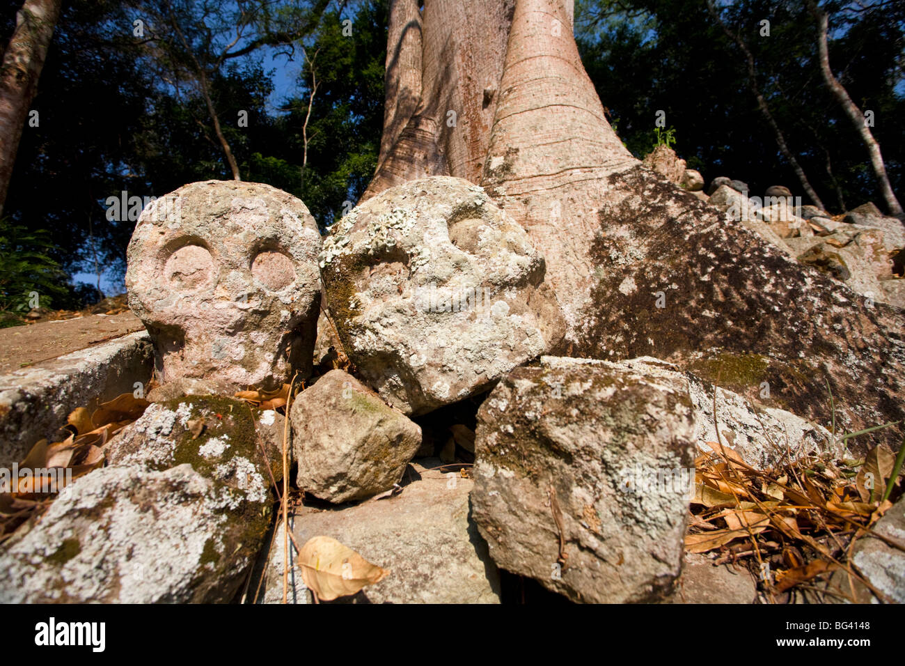 Honduras, Copan Ruinas, Copan Ruins, The Great Plaza Stock Photo - Alamy