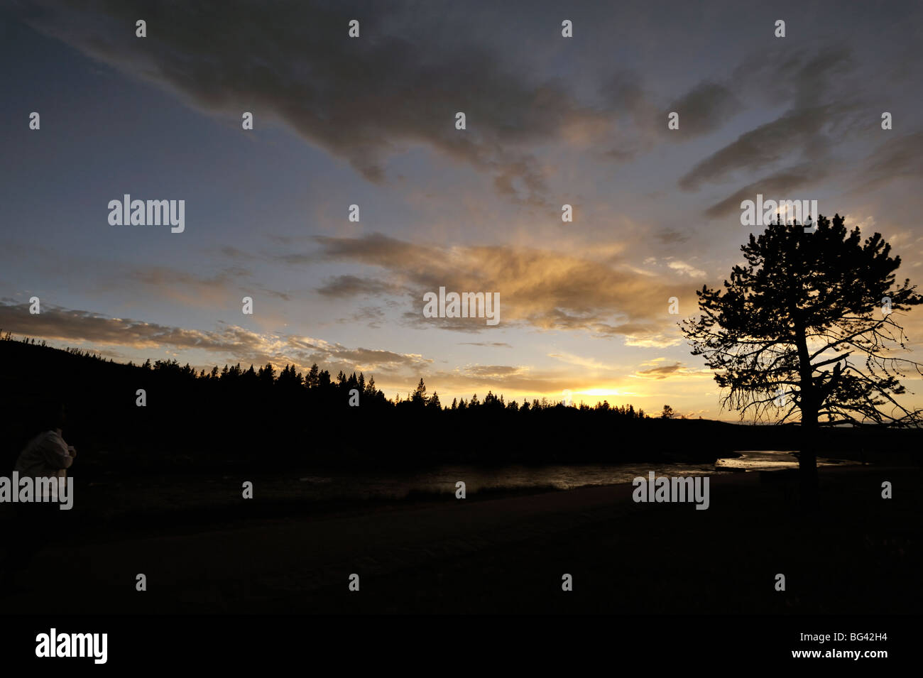 Sunset in the Yellowstone national park during summers Stock Photo - Alamy