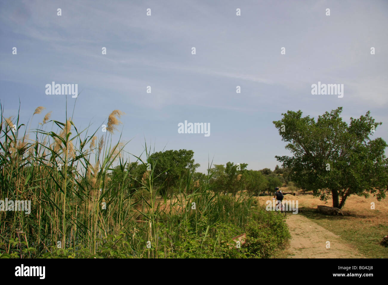 Israel, Shephelah. Neot Kedumim, Biblical Landscape Reserve Stock Photo ...