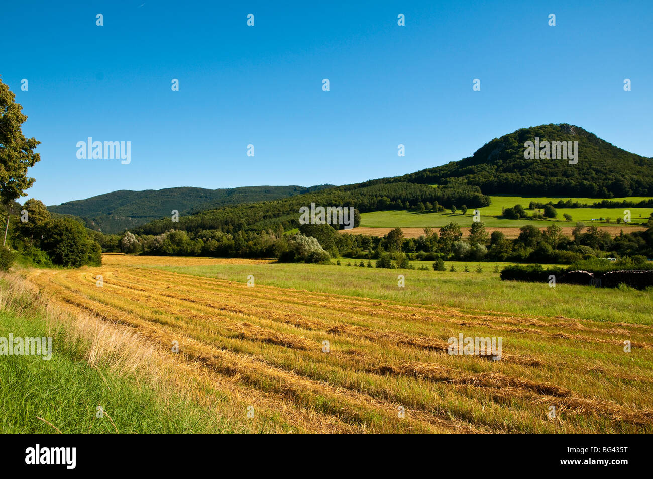 Wienerwald hi-res stock photography and images - Alamy