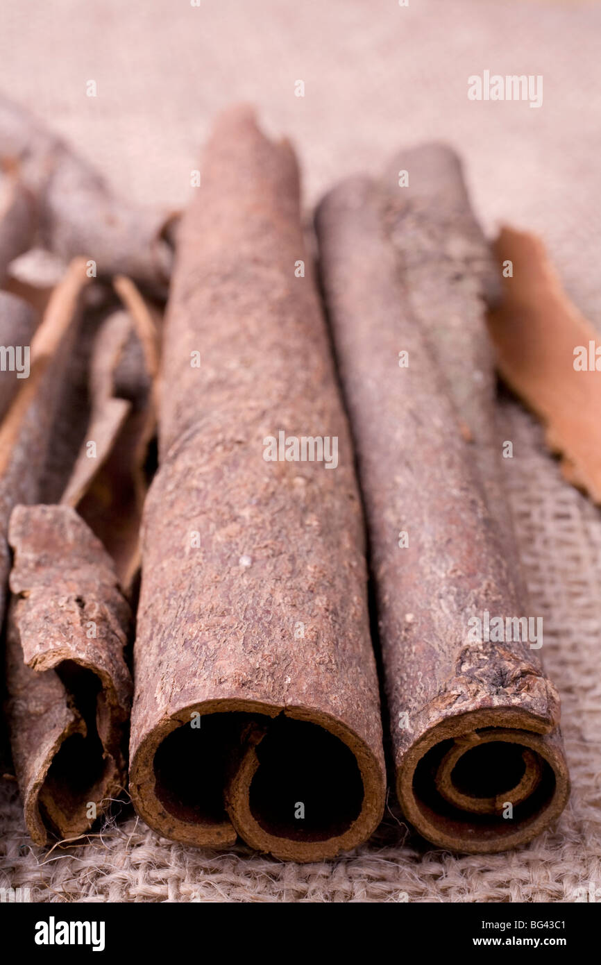 Long cinnamon sticks hi-res stock photography and images - Alamy