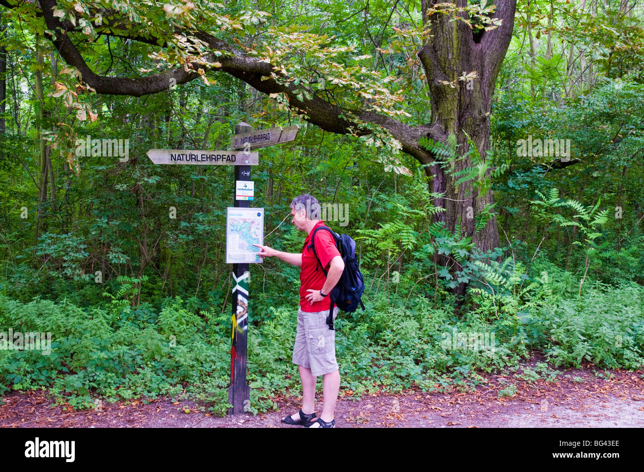 Wanderer. Nationalpark Donau-Auen - Die Lobau, Wien, Österreich | Lobau ...