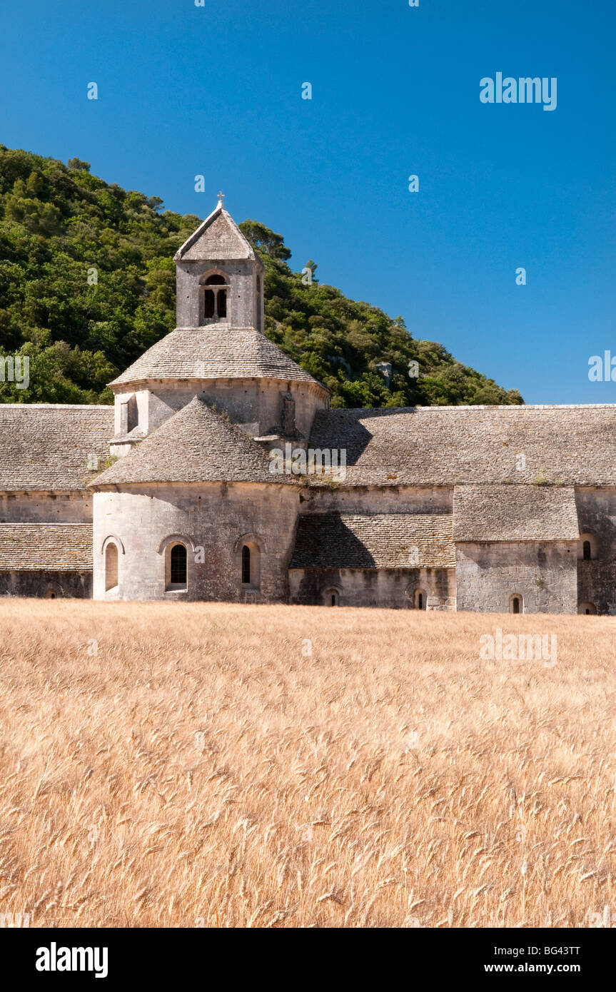 Senanque Abbey, Provence, France Stock Photo - Alamy